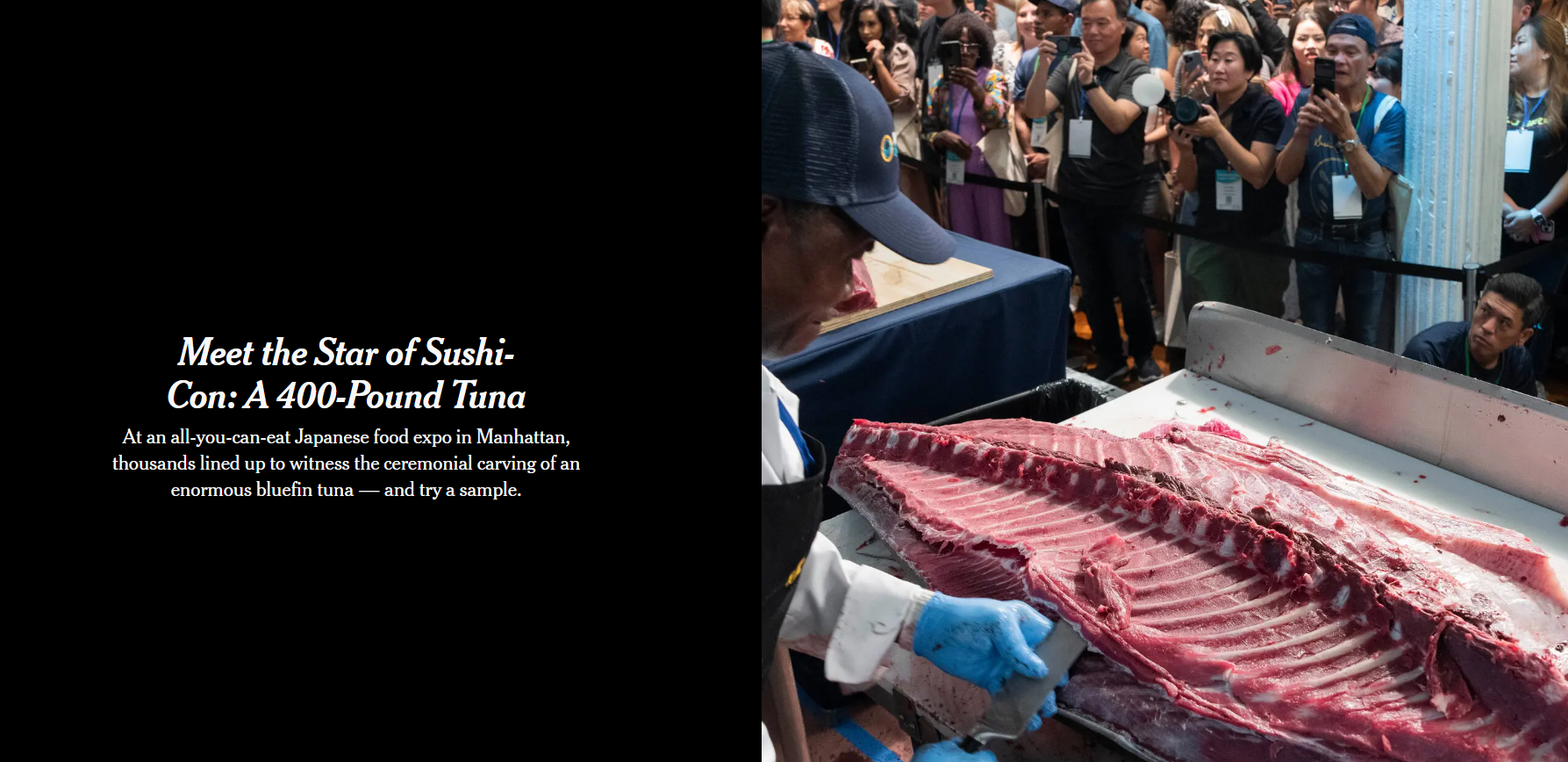 Meet the Star of Sushi-Con: A 400-Pound Tuna - Noble Fresh Cart