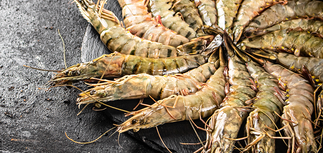 Shrimp Size Chart